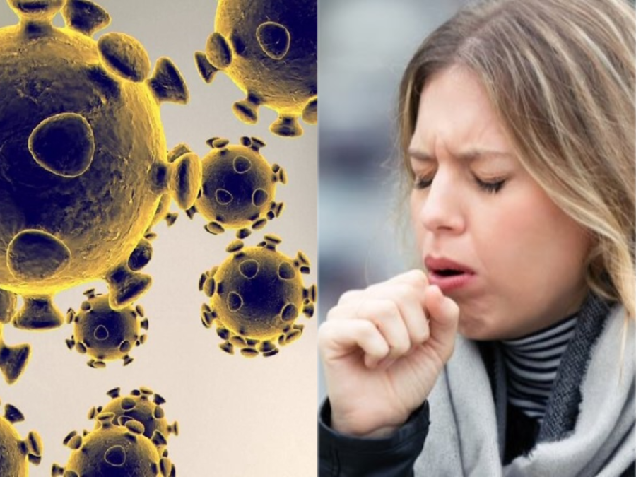 Como nos contagiamos de coronavirus y ¿qué podemos hacer para evitar el ...