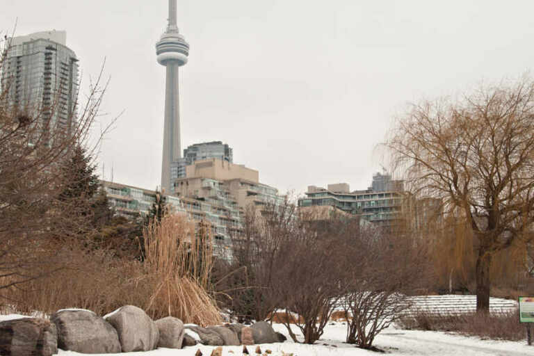Los mejores parques para visitar en invierno en Toronto | QPASA