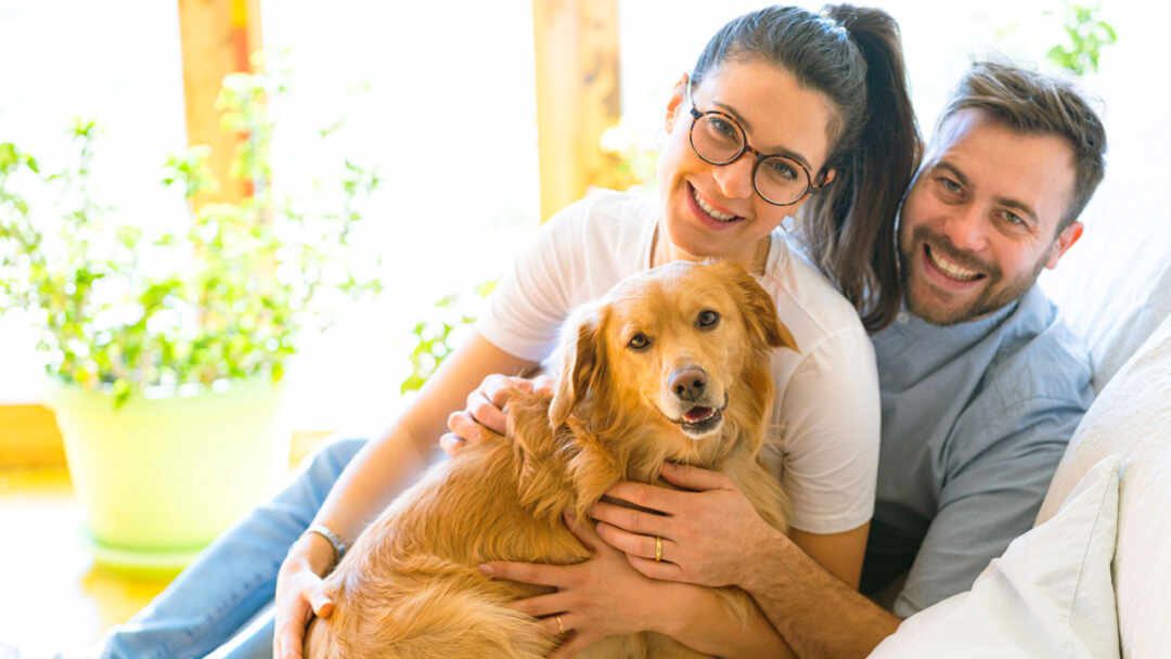 ¿Cómo saber que tu mascota es feliz? | QPASA