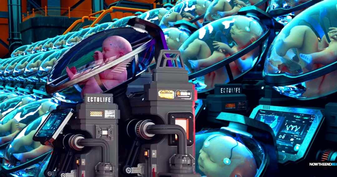 Esta es la fábrica de bebés que promete crear 30 mil humanos al año | QPASA