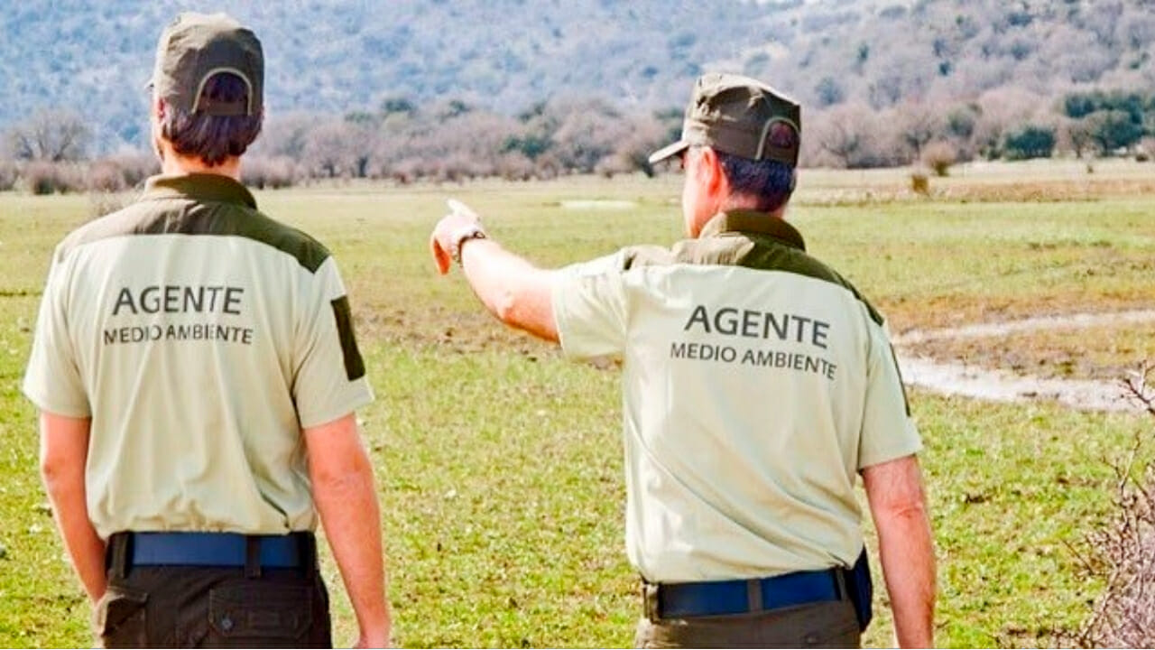 Gobierno Español está contratando guardas forestales, le contamos como ...