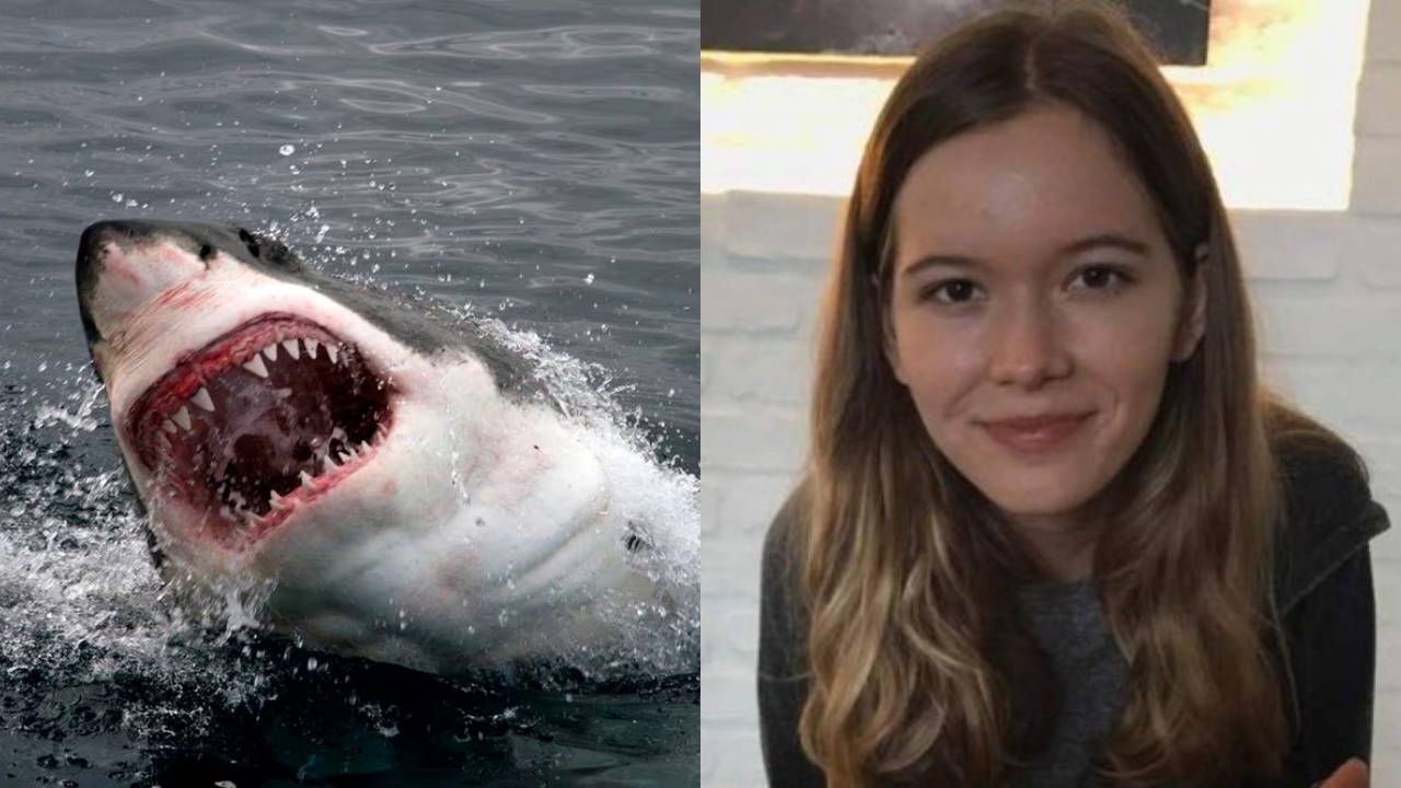 En un inesperado ataque de tiburón muere turista en las Bahamas | QPASA