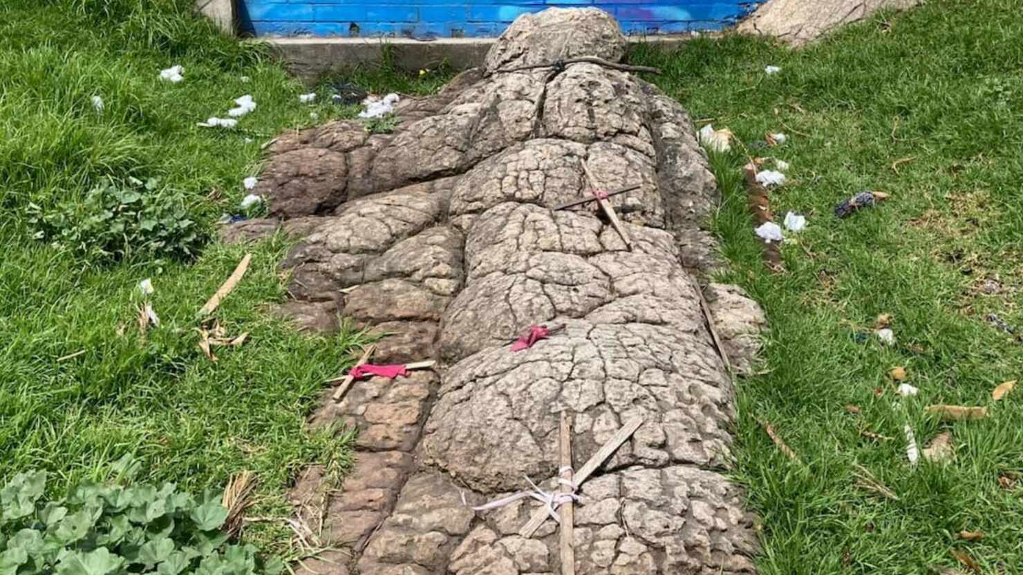 La misteriosa historia del Niño de piedra en Bogotá y por qué se cree ...