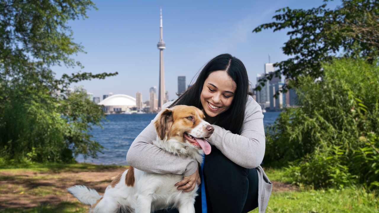 Es oficial, Canadá tiene casi 4 veces más mascotas que niños | QPASA