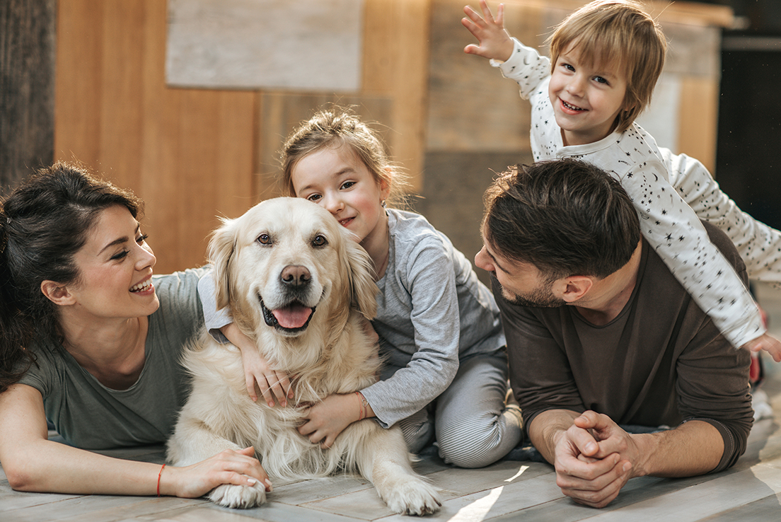 El 97 % de los dueños de mascotas las consideran parte de la familia ...